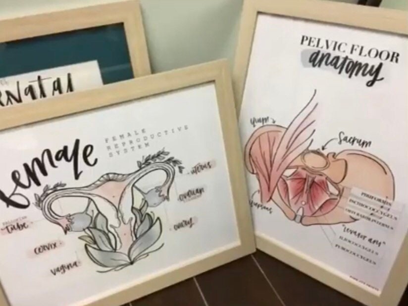 NEW Female Reproductive System Poster | Etsy