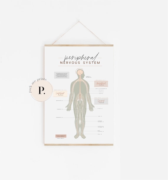 New Peripheral NS Poster Frame NOT Included. - Etsy