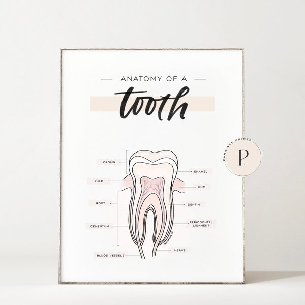 Dentist Poster - Etsy