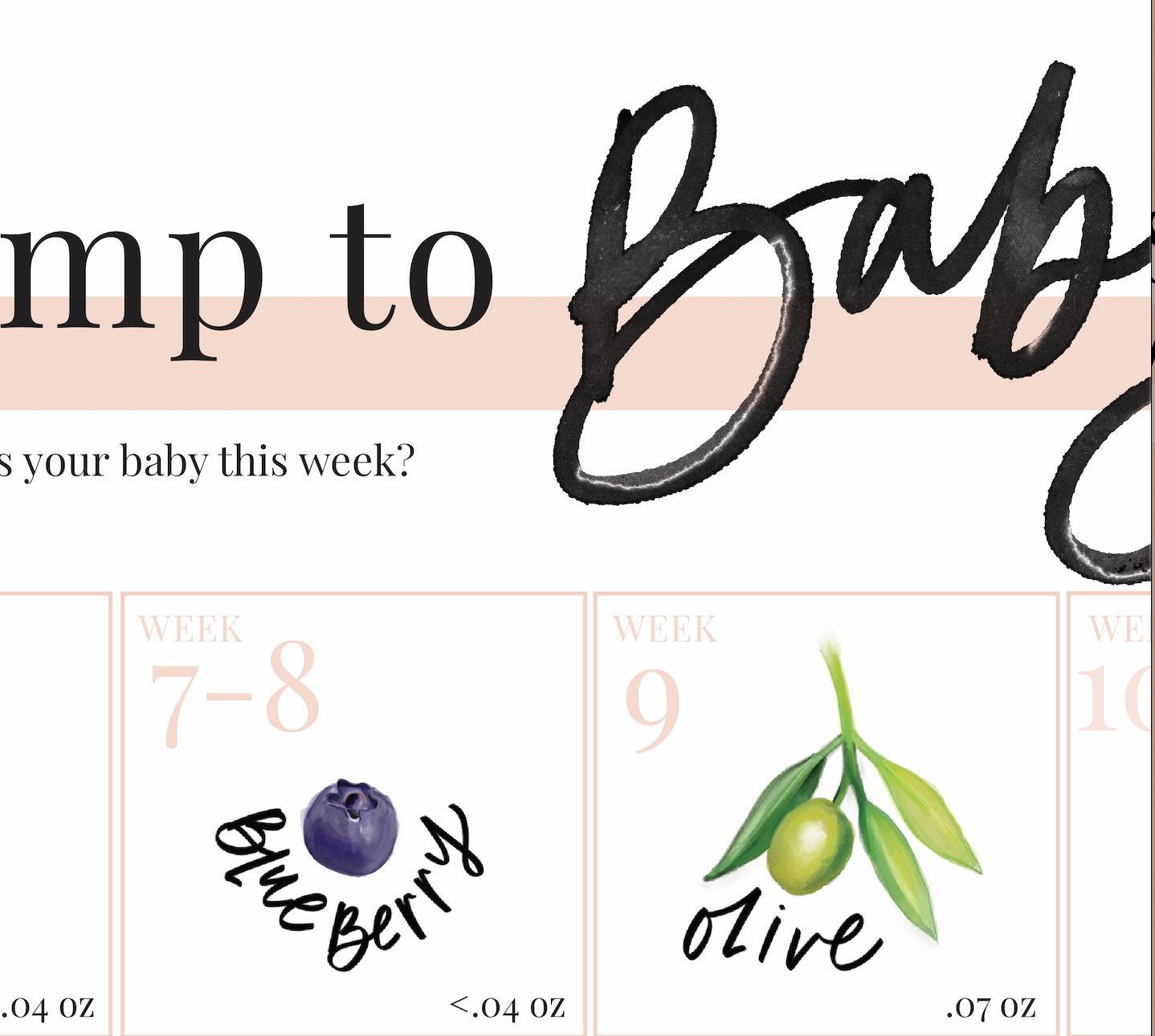 Baby Bump Pregnancy Chart | Week by Week Baby Size Fruit Poster - Etsy