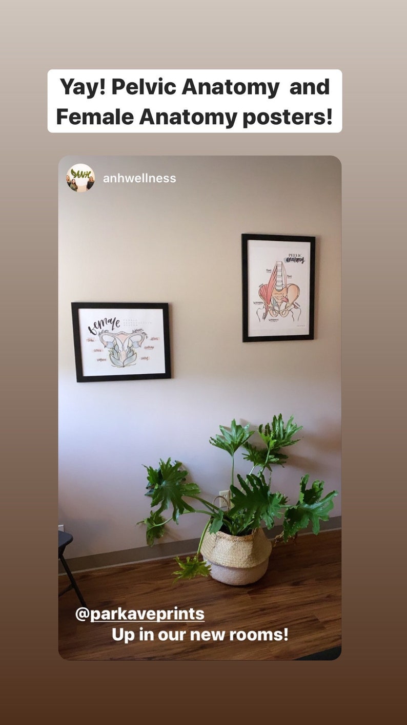 NEW Female Reproductive System Poster - Etsy