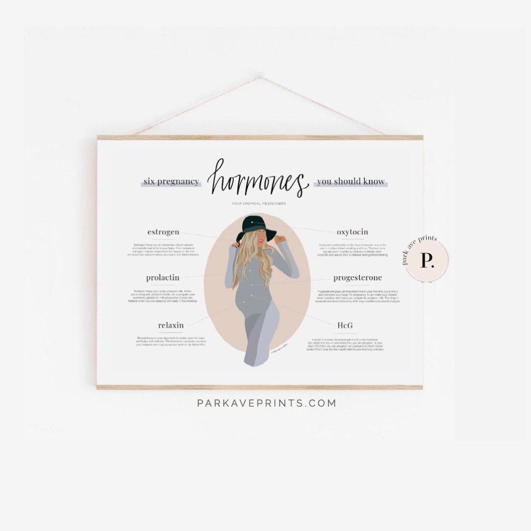 NEW! Pregnancy Hormones Poster - Female Anatomy Health - Etsy