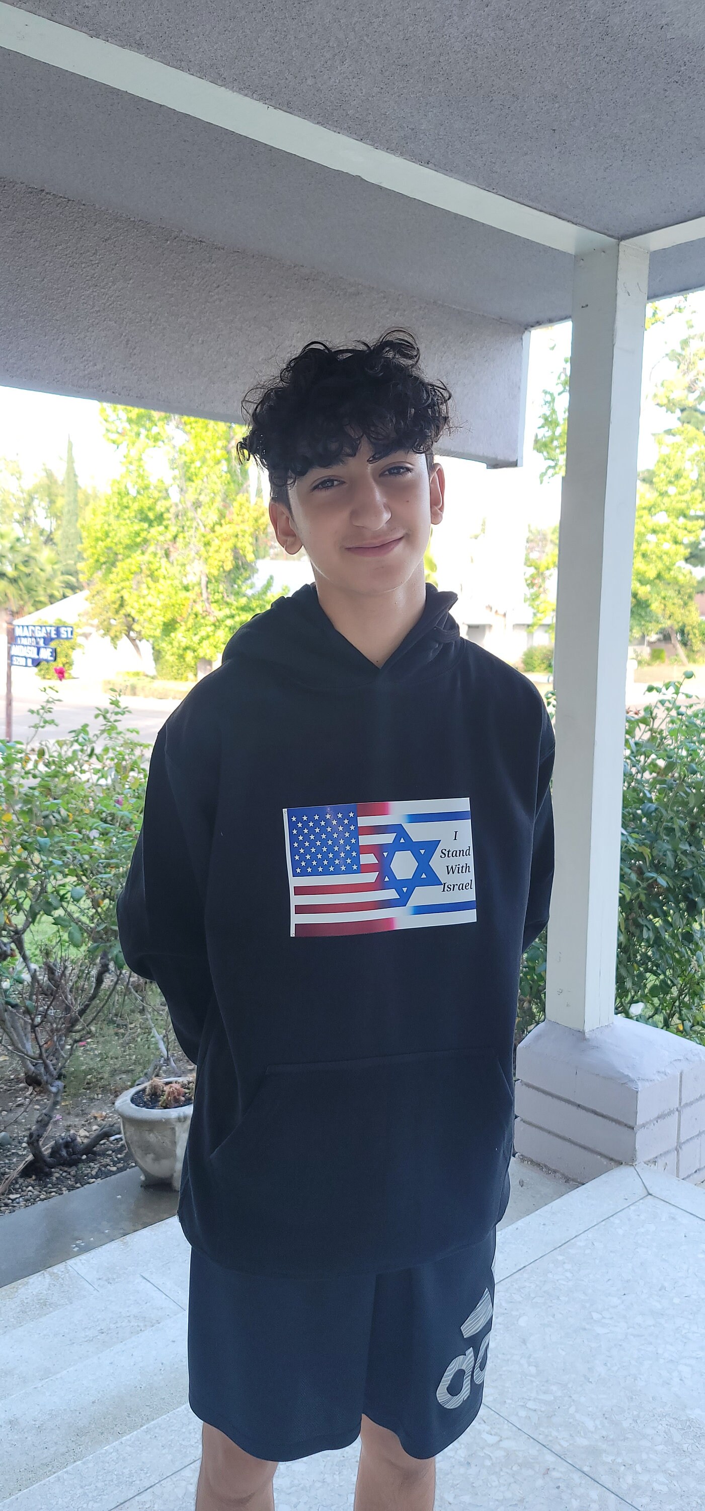 I Stand With Israel, Israel, Israeli Flag, Sweater, Hat, T-shirt, I ...