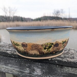 Large Handmade Stoneware Pottery Bowl With American Bison Buffalo on ...