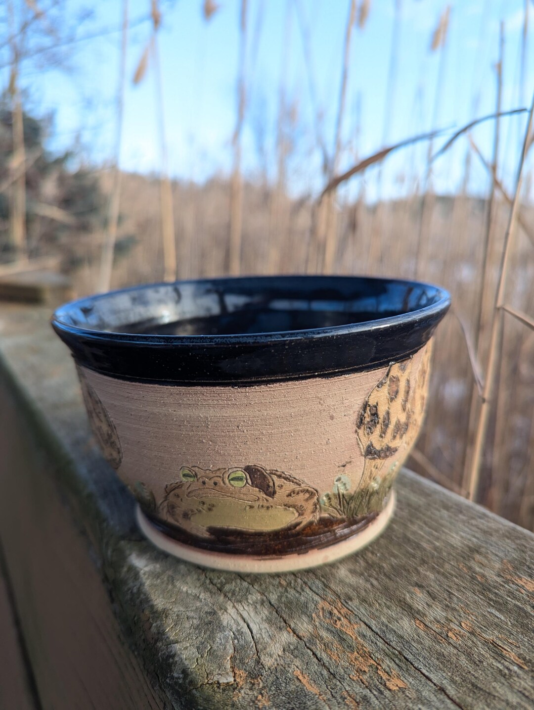 Toad Under Morel Mushroom Handmade Stoneware Pottery Cereal Soup Bowl ...