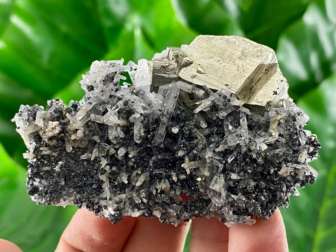 Amazing Combination of Sphalerite With Pyrite and Quartz From Vurba ...