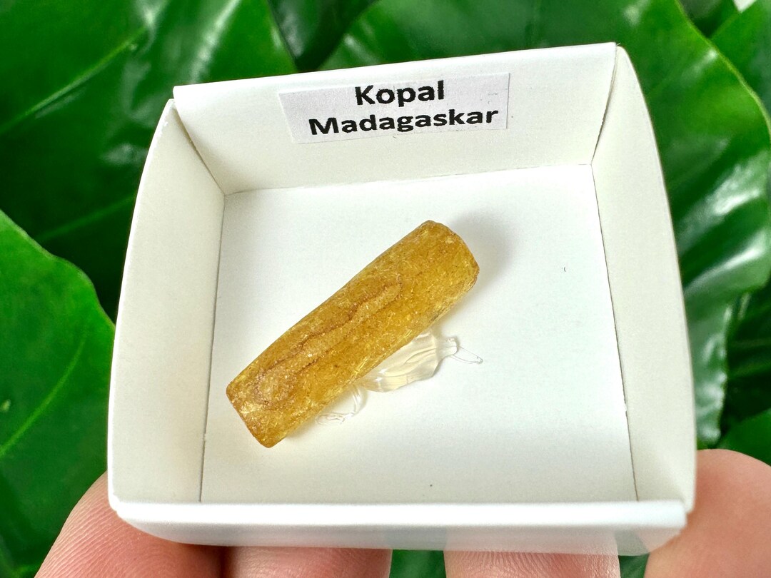 Amazing Copal From Madagascar ,madagascar Minerals,amber Copal Amber ...