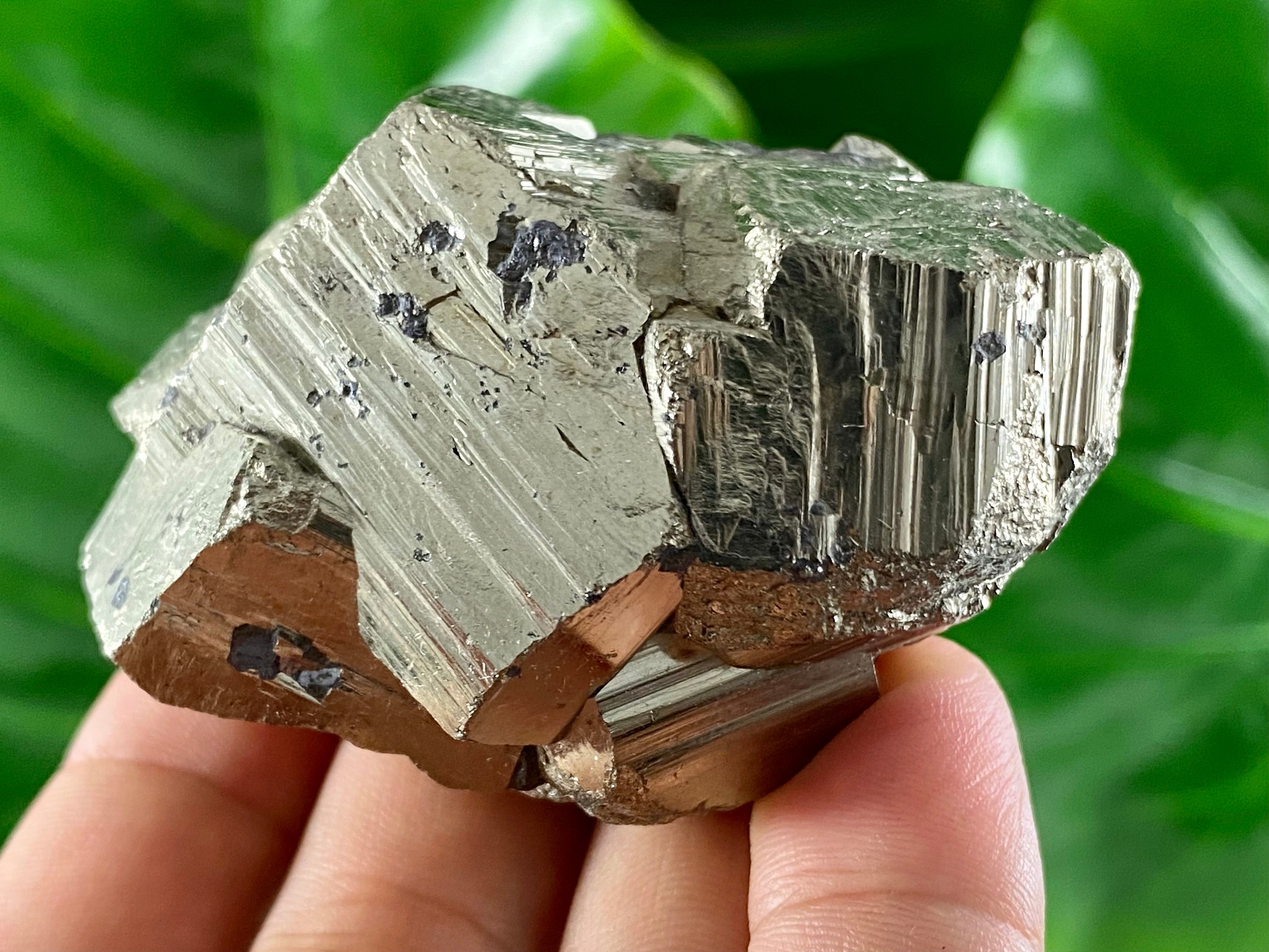 Very nice Golden Pyrite from Borieva | Etsy