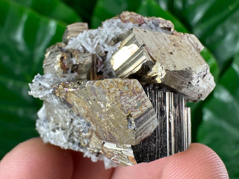 100% Natural Iridescent Pyrite From Borieva Mine,madan,bulgaria,clear ...