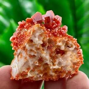 A Very Nice Vanadinite From Morocco,crystal, Mineral,specimen,cluster ...