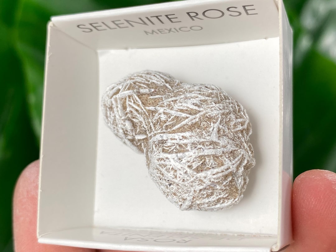 Natural Selenite Rose From Mexico – Gypsum Desert Rose Crystal,mineral ...