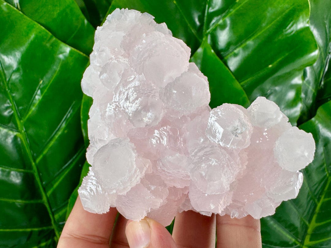 Strong Fluorescent Pink Mangano Calcite From Krushev Dol Mine,madan ...