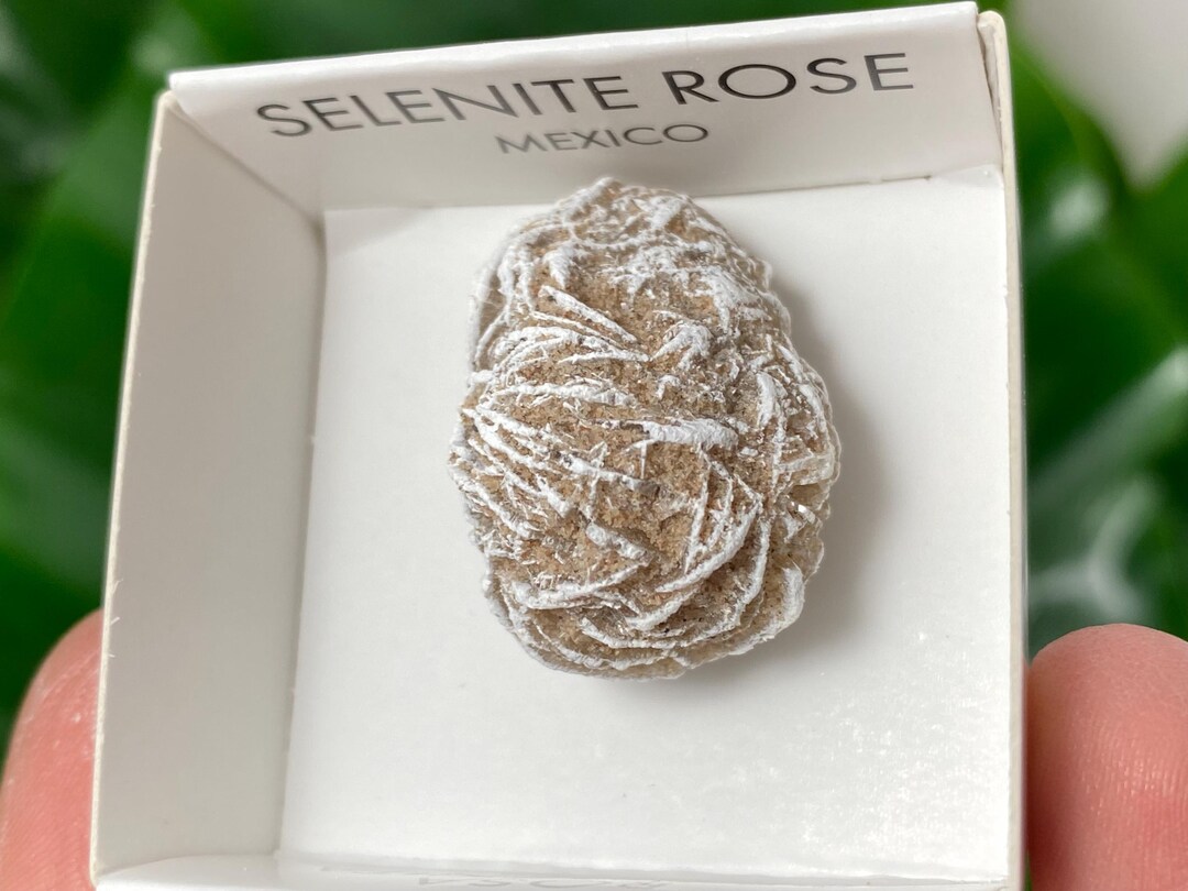 Natural Selenite Rose From Mexico – Gypsum Desert Rose Crystal,mineral ...