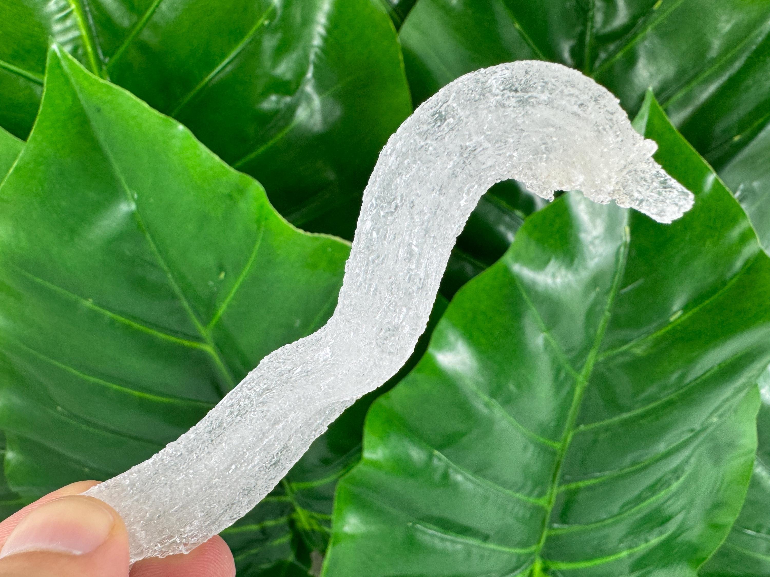 Incredible 'ram's Horn' Selenite- Gypsum From Guizhou,china,rare Gypsum ...