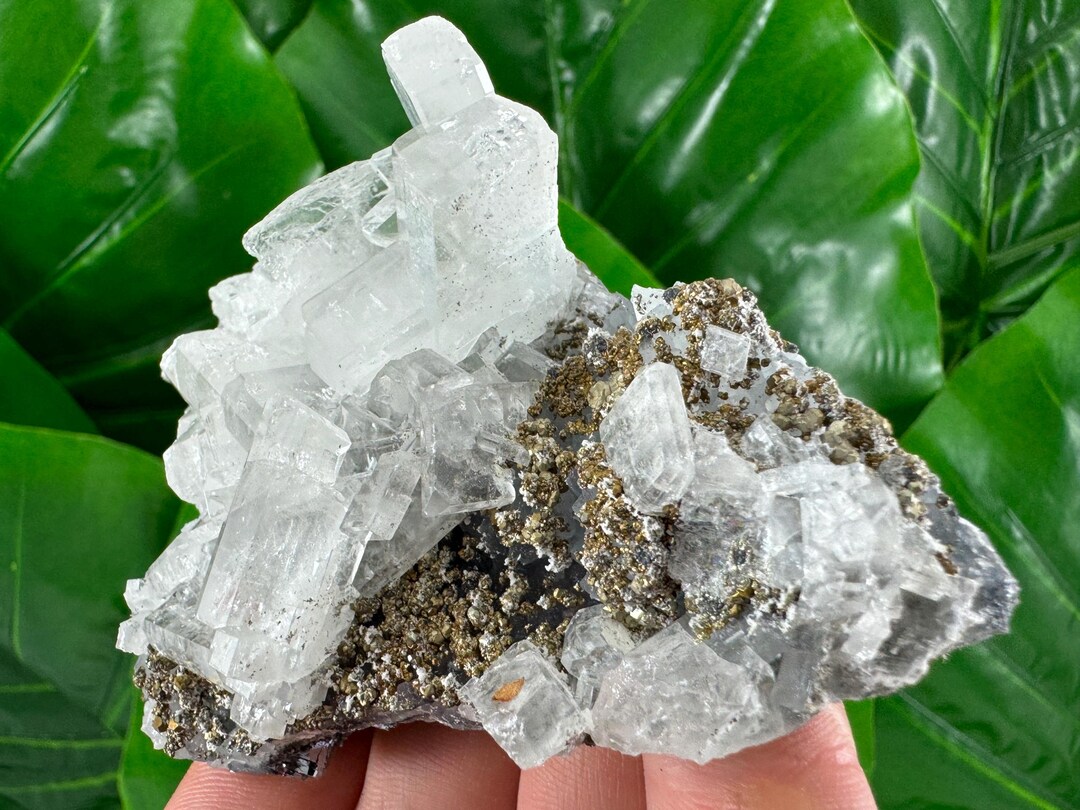 Transparent Baryte With Pyrite From Androvo Mine,zlatograd,bulgaria ...