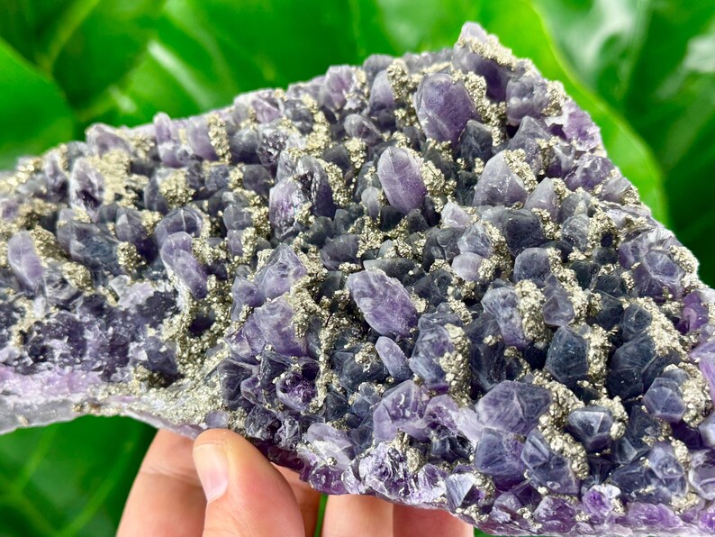 Rare Amethyst With Pyrite From Chala Mine Bulgaria,bulgarian Amethyst ...