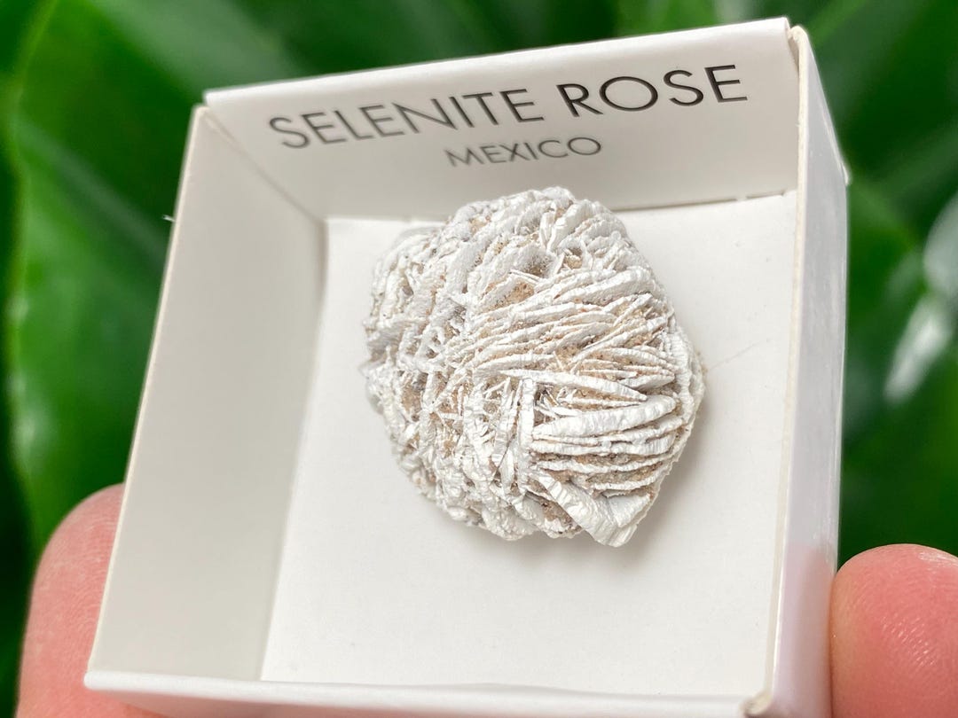 Natural Selenite Rose From Mexico – Gypsum Desert Rose Crystal,mineral ...