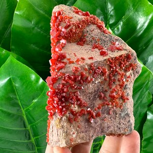 Large Double Sided Vanadinite From Morocco,crystal, Mineral,specimen ...