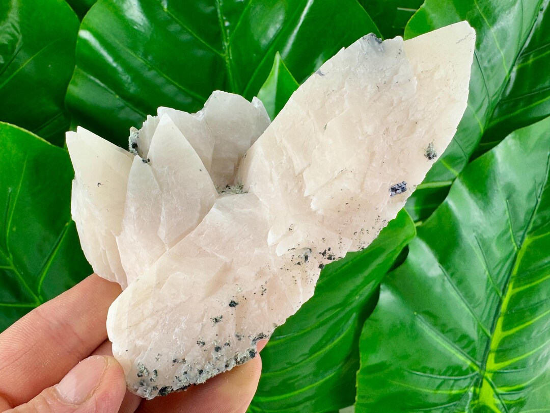 Fluorescent Calcite With Chlorite From Borieva Mine,madan ,bulgaria ...