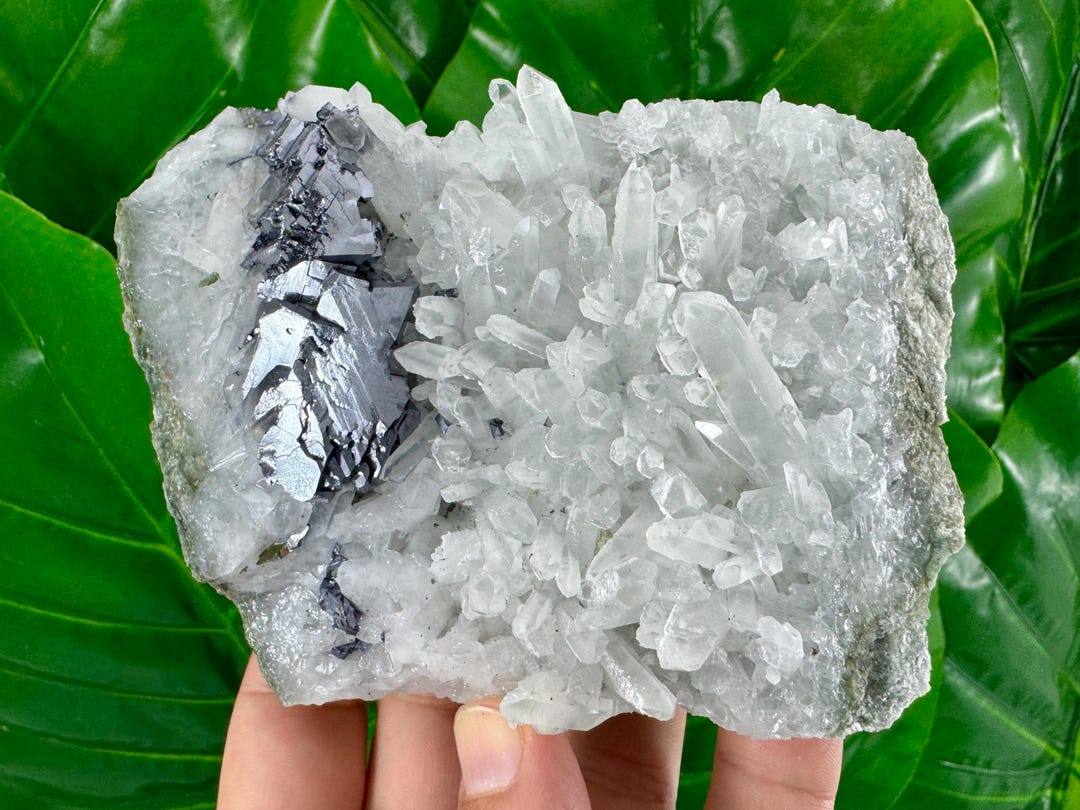 Aesthetic Quartz With Galena From Borieva Mine,madan,bulgaria,mineral ...