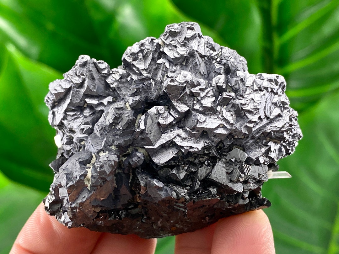 Rare Crystallisation Mirror Galena From Krushev Dol Mine,madan,bulgaria ...
