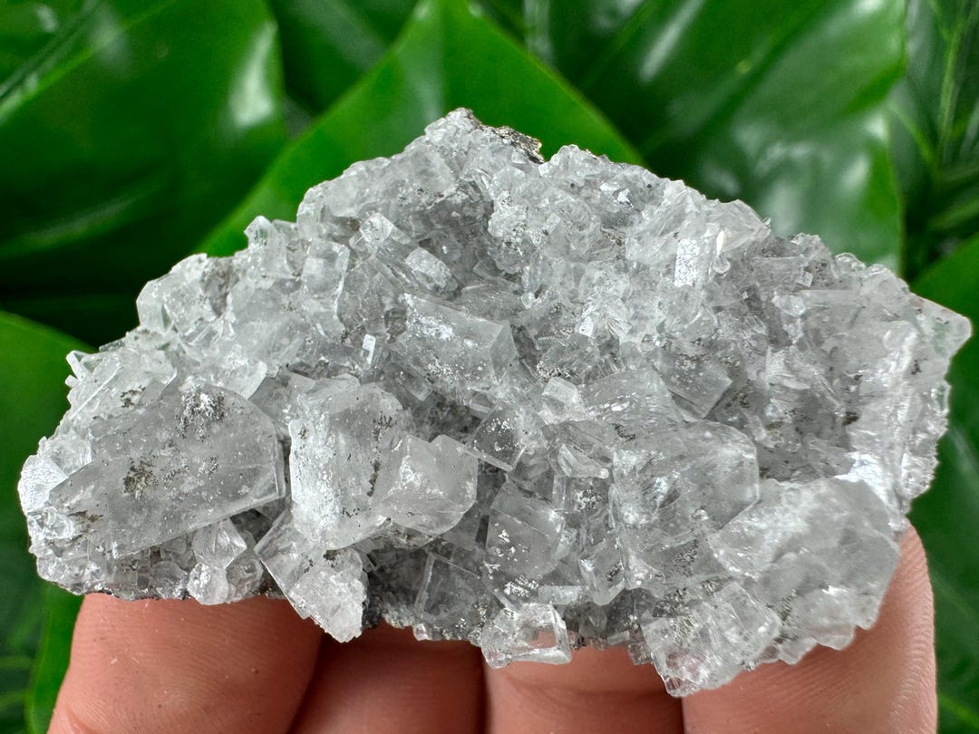 Transparent Baryte With Pyrite From Androvo Mine,zlatograd,bulgaria ...