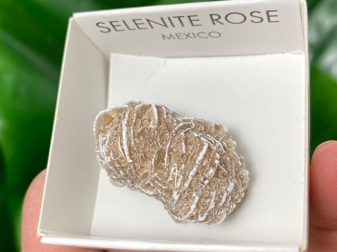 Natural Selenite Rose From Mexico – Gypsum Desert Rose Crystal,mineral ...