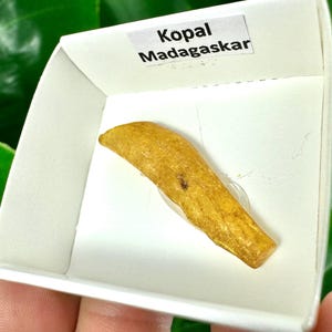 Amazing Copal From Madagascar ,madagascar Minerals,amber Copal Amber ...