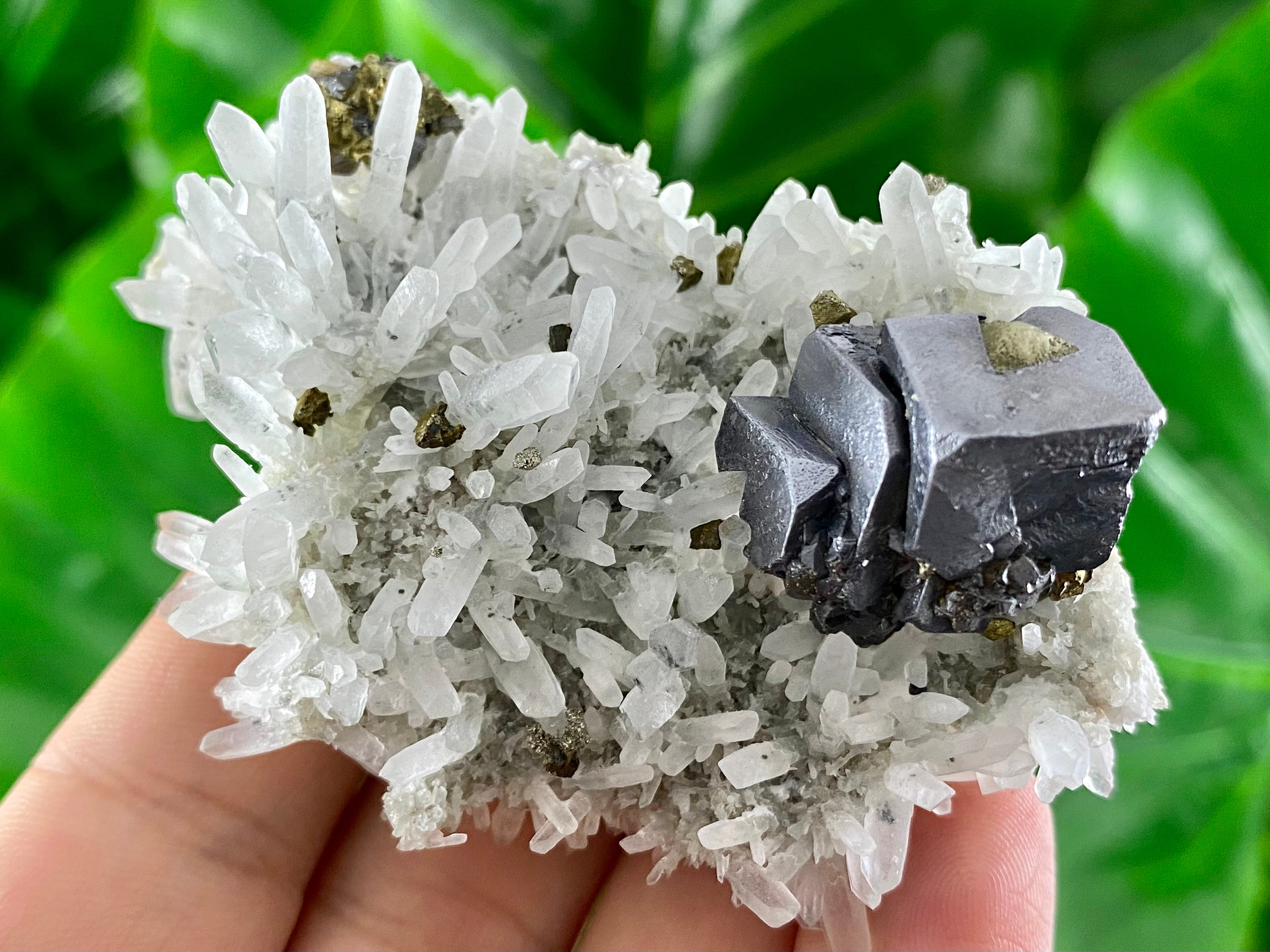 Shiny Galena with Quartz from Krushev dol mine,Madan,Bulgaria ...