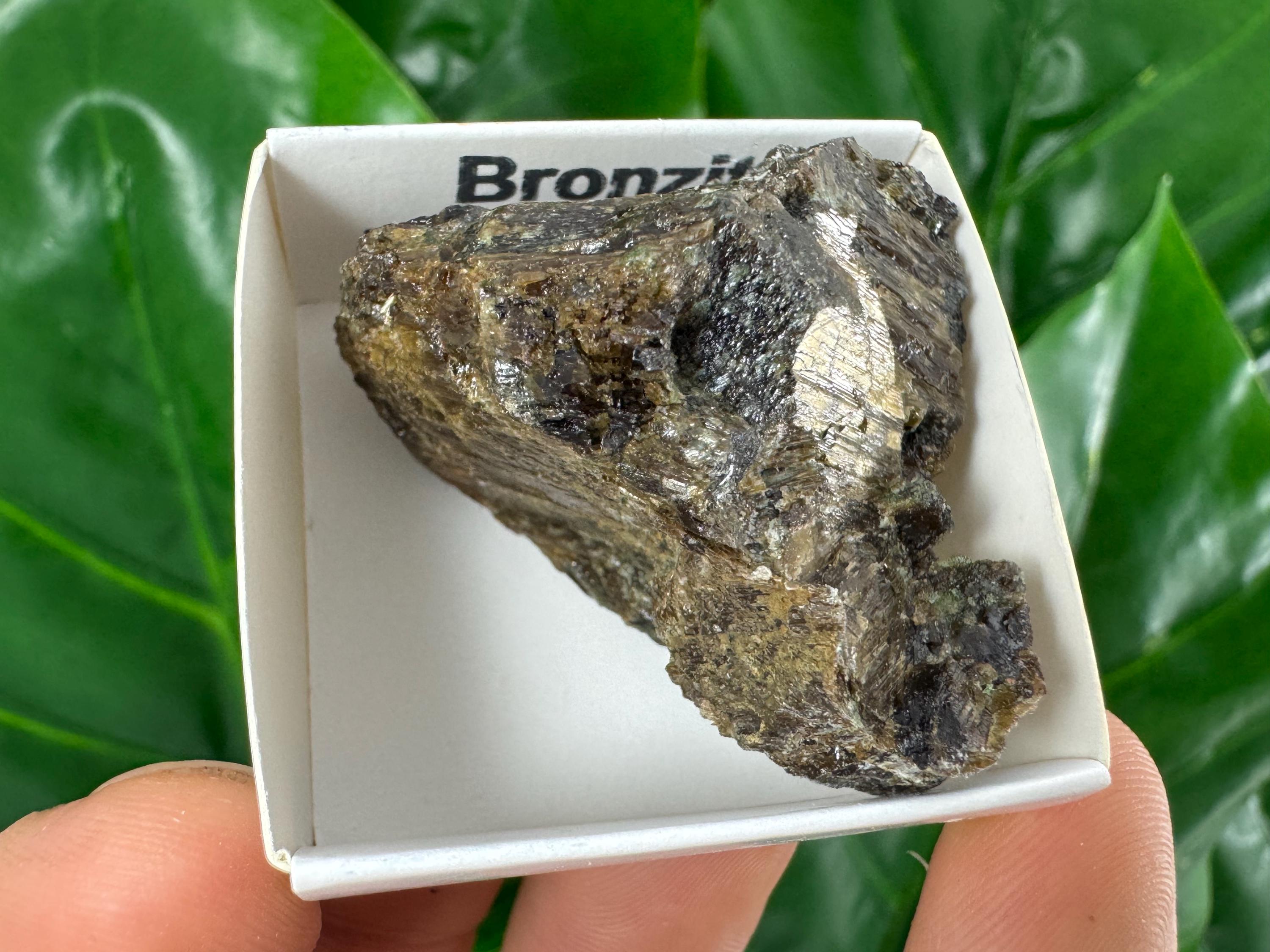 Very Nice Golden Bronzite From Austria,kraubath,styria,mineral,specimen ...