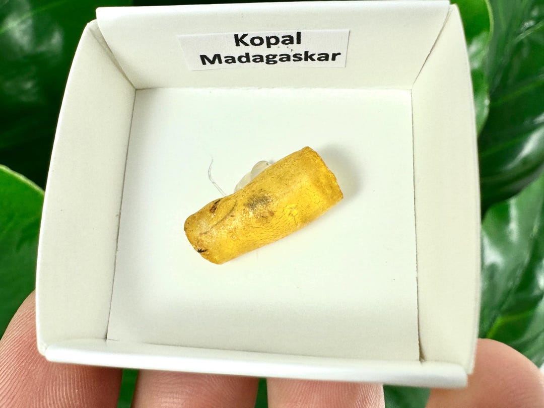 Amazing Copal From Madagascar ,madagascar Minerals,amber Copal Amber ...