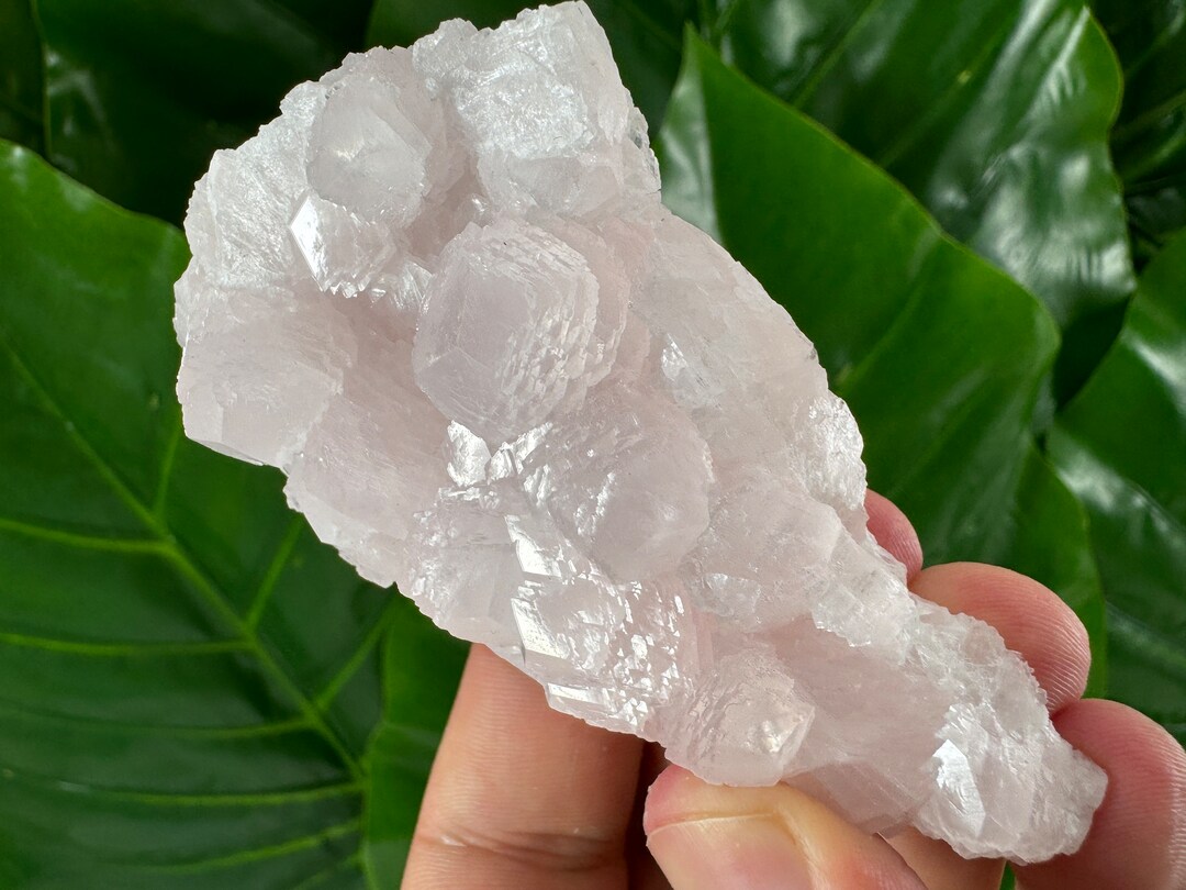 Strong Fluorescent Pink Mangano Calcite From Krushev Dol Mine,madan ...
