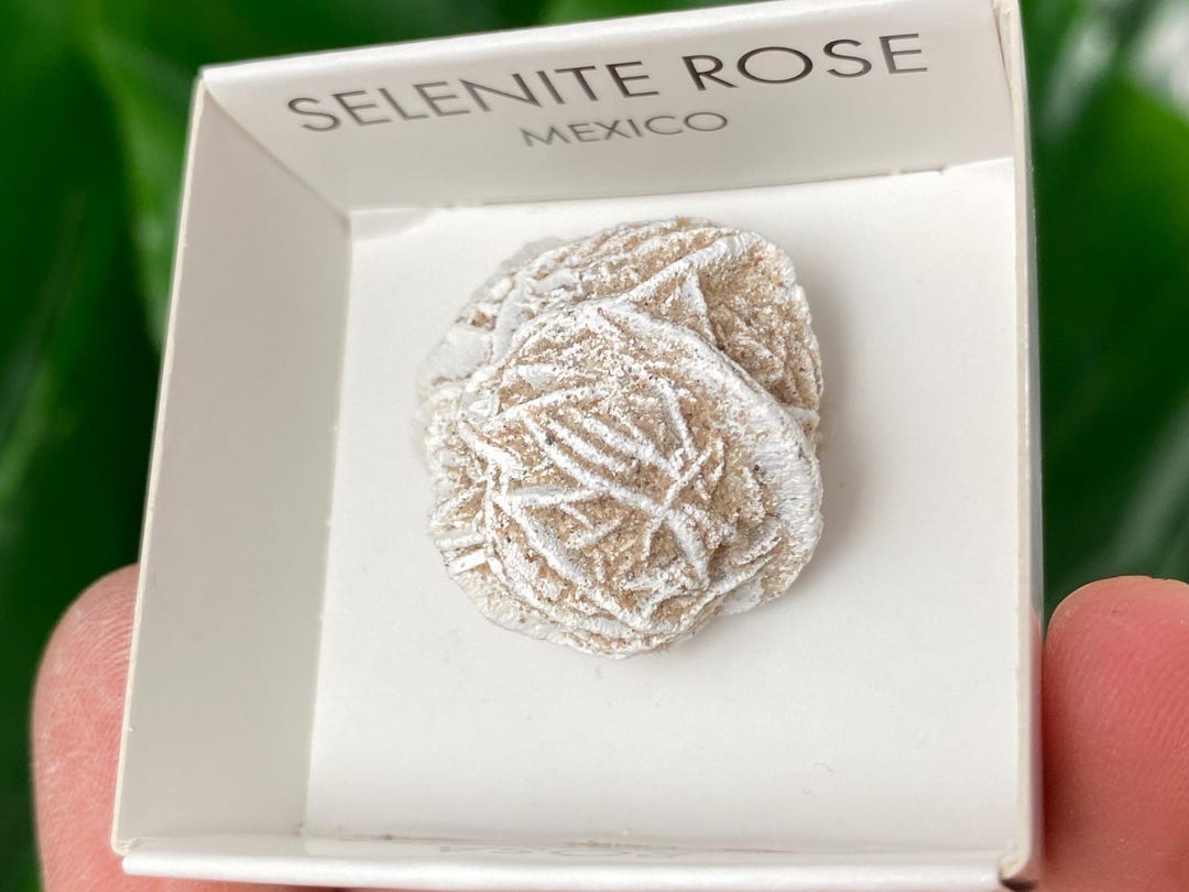 Natural Selenite Rose From Mexico – Gypsum Desert Rose Crystal,mineral ...