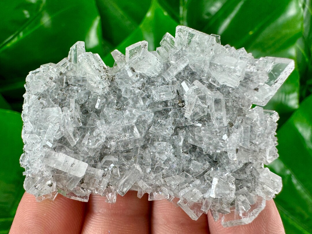 Double Sided Transparent Baryte With Pyrite From Androvo Mine,zlatograd ...