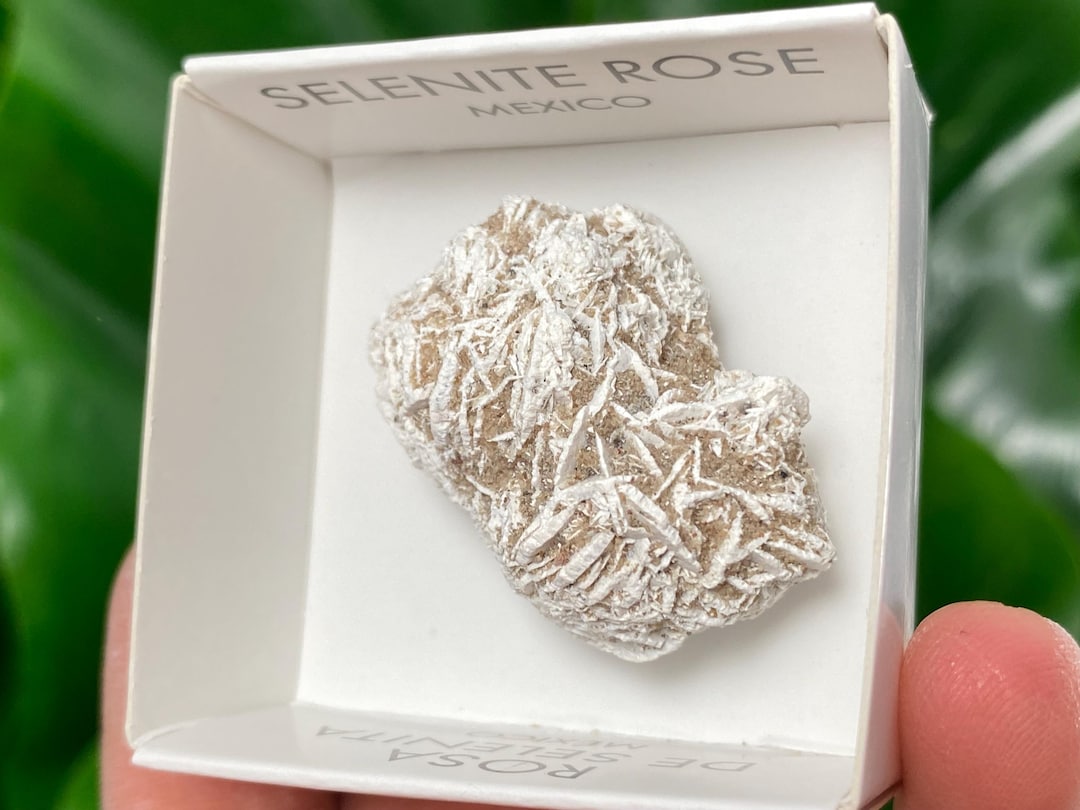 Natural Selenite Rose From Mexico – Gypsum Desert Rose Crystal,mineral ...