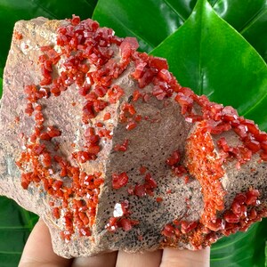 Large Double Sided Vanadinite From Morocco,crystal, Mineral,specimen ...