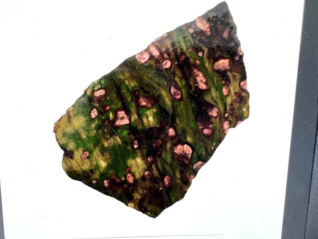 Pyrope,chrome Diopside,enstatite Wanzenau Horn District,austria,slice ...