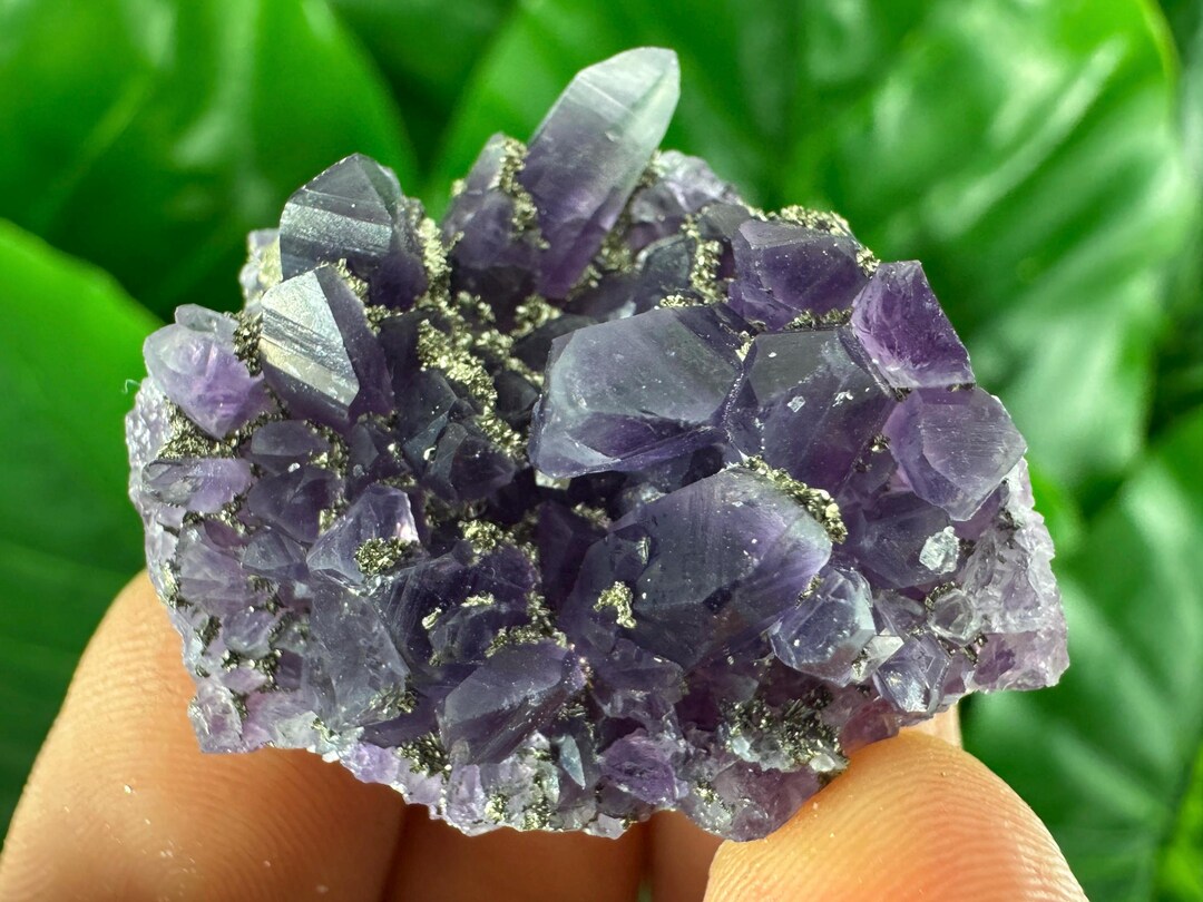 AESTHETIC Mini Amethyst With Pyrite From Chala Mine Bulgaria,bulgarian ...