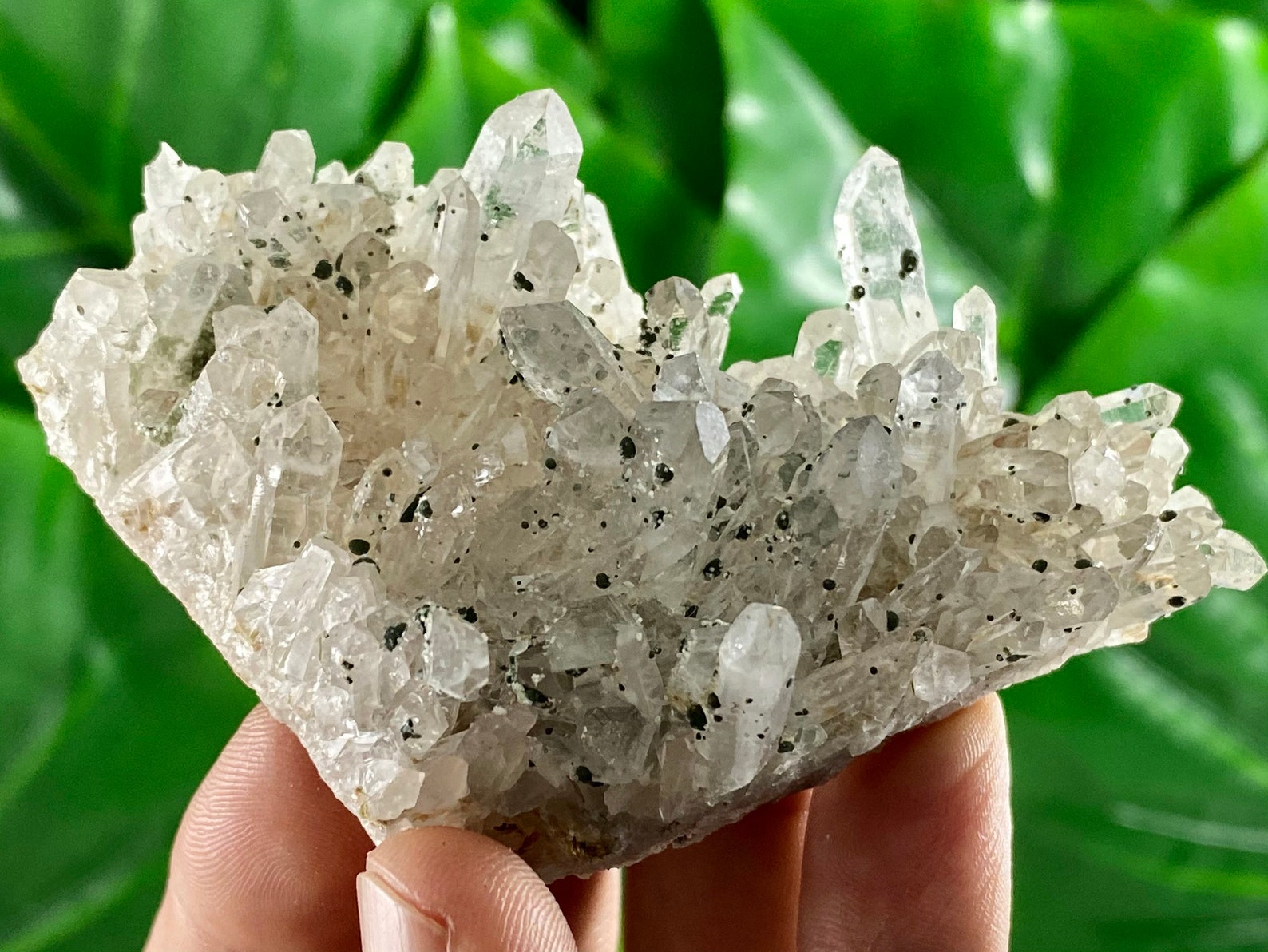 INCREDIBLE rare Transparent Quartz with small balls Chlorite | Etsy