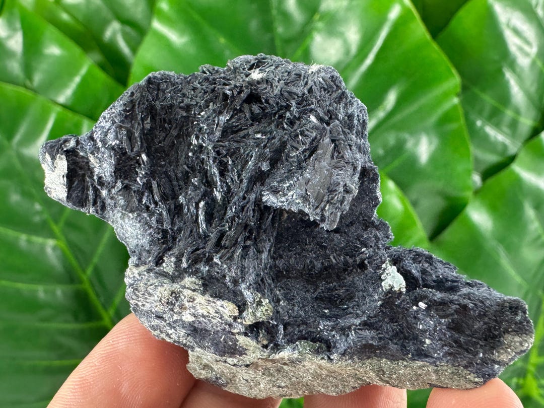 Very Rare Glaucophane From Rio Oremo, Chiavolino,pollone, Biella ...
