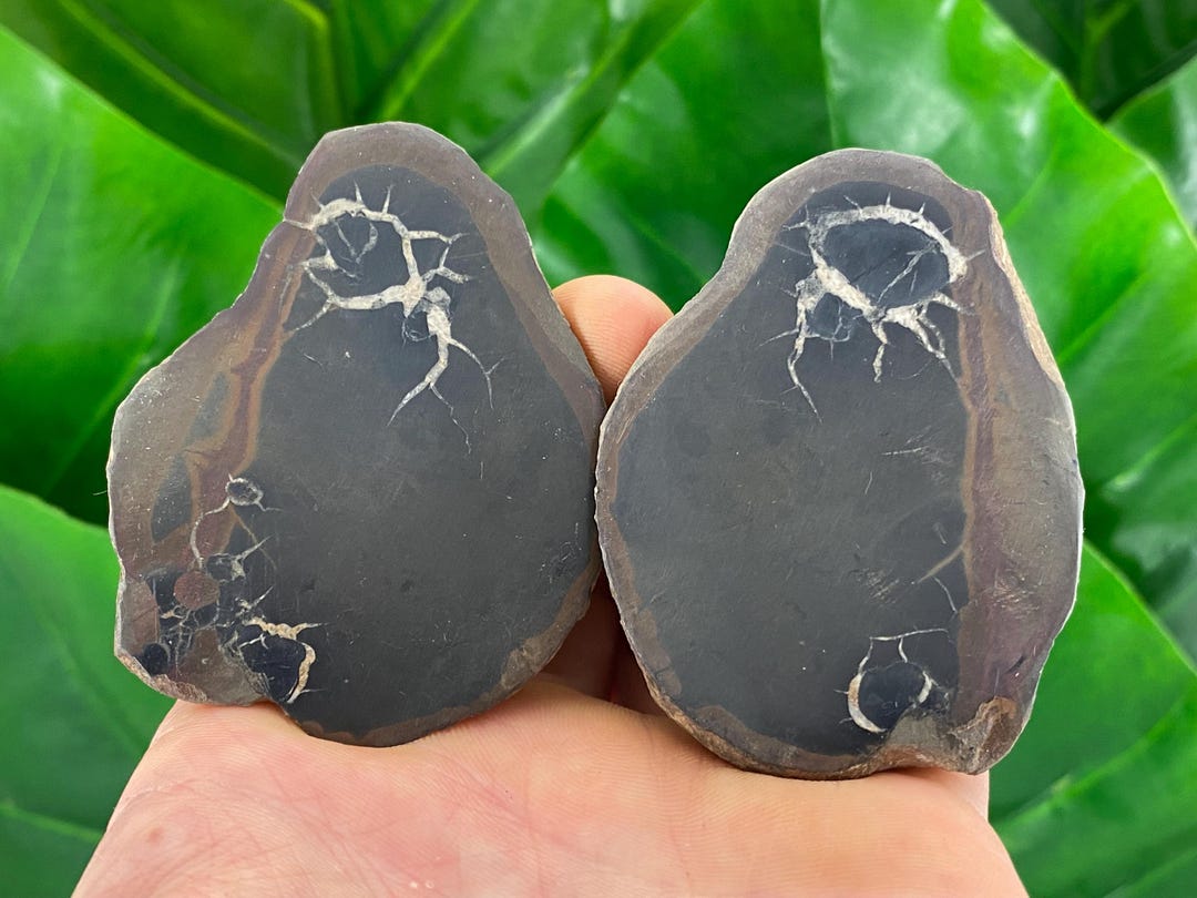 Polished Septarian Geode Pair From Morocco,dragon Stone Black Crystal ...