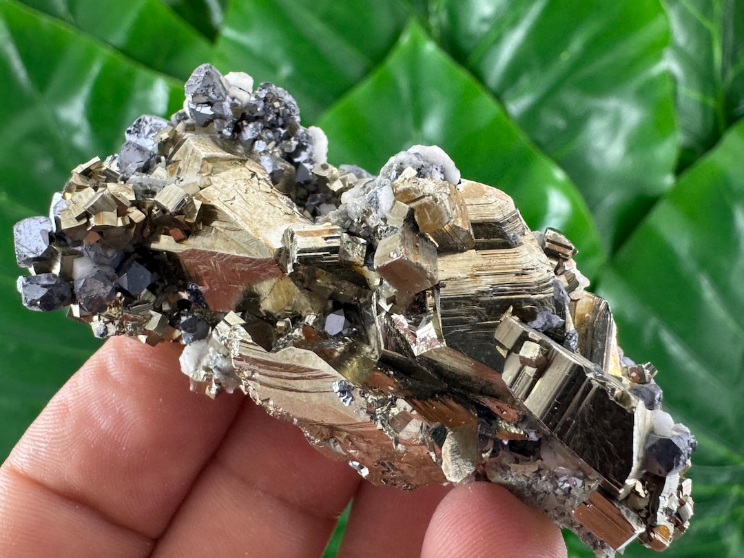 Amazing Pyrite With Galena From Borieva Mine Madan,bulgaria,mineral ...
