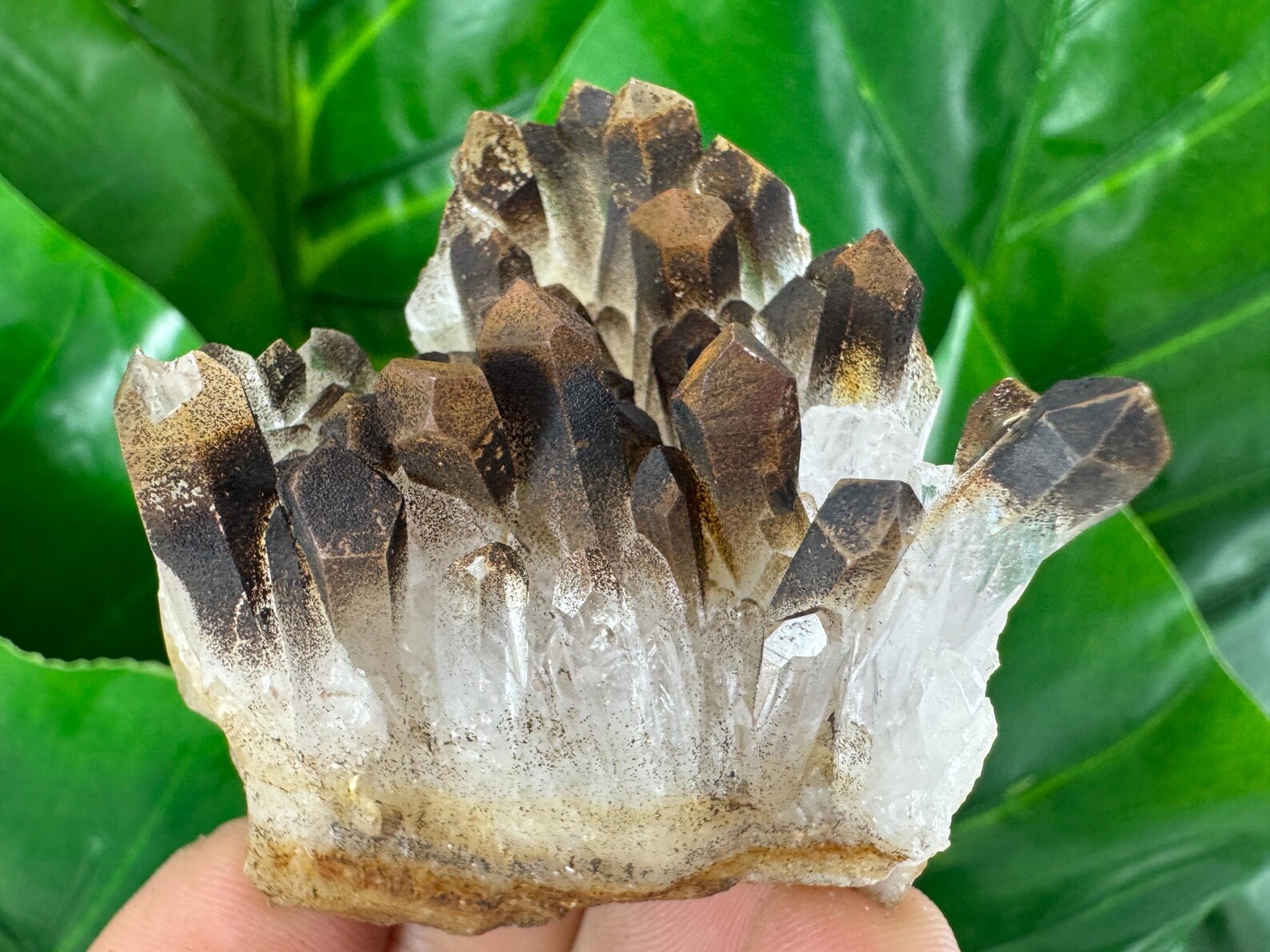 Amazing Quartz With Iron Oxide From 9th September Mine,madan,bulgaria ...