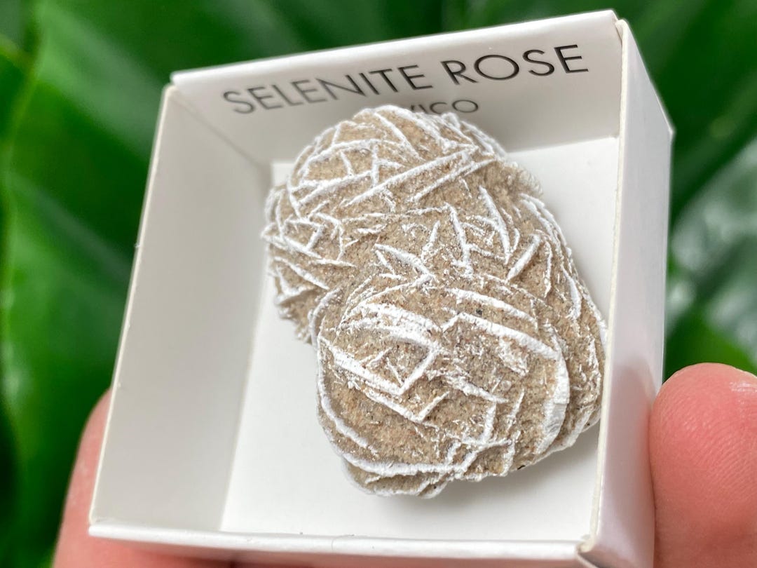 Natural Selenite Rose From Mexico – Gypsum Desert Rose Crystal,mineral ...