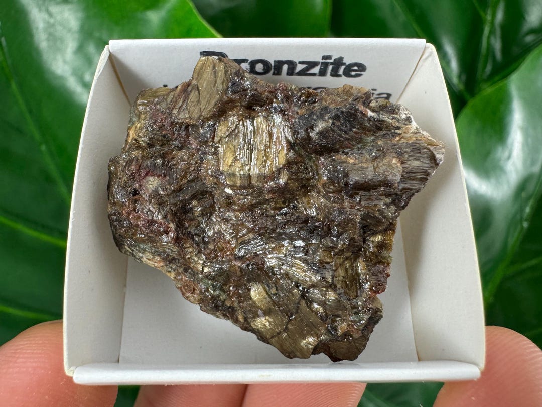 Very Nice Golden Bronzite From Austria,kraubath,styria,mineral,specimen ...