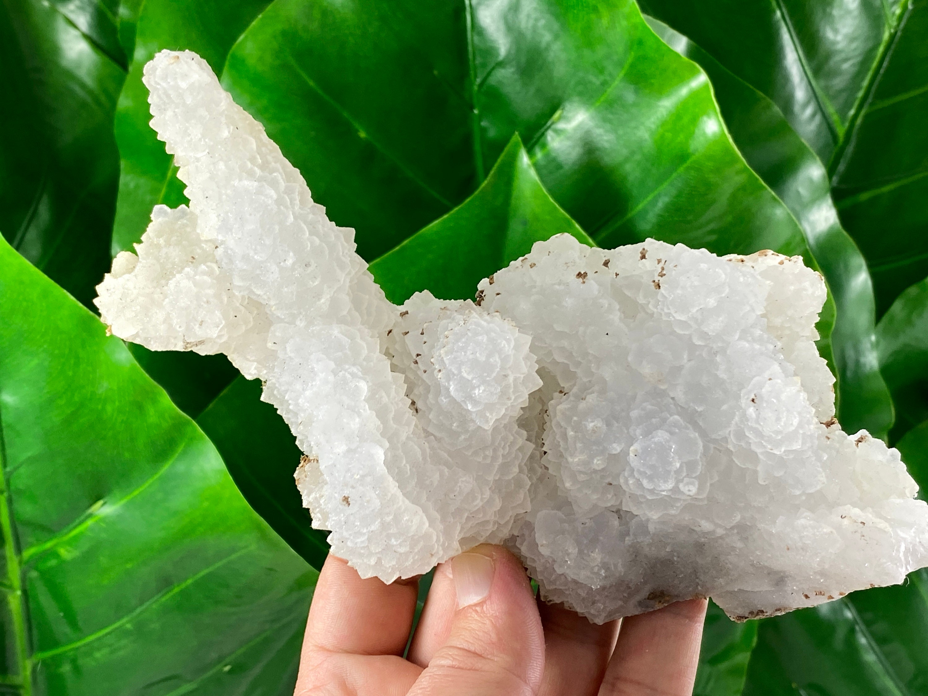 Very Rare Quartz From Krushev Dol Mine ,madan Ore Field,rhodope Mts ...