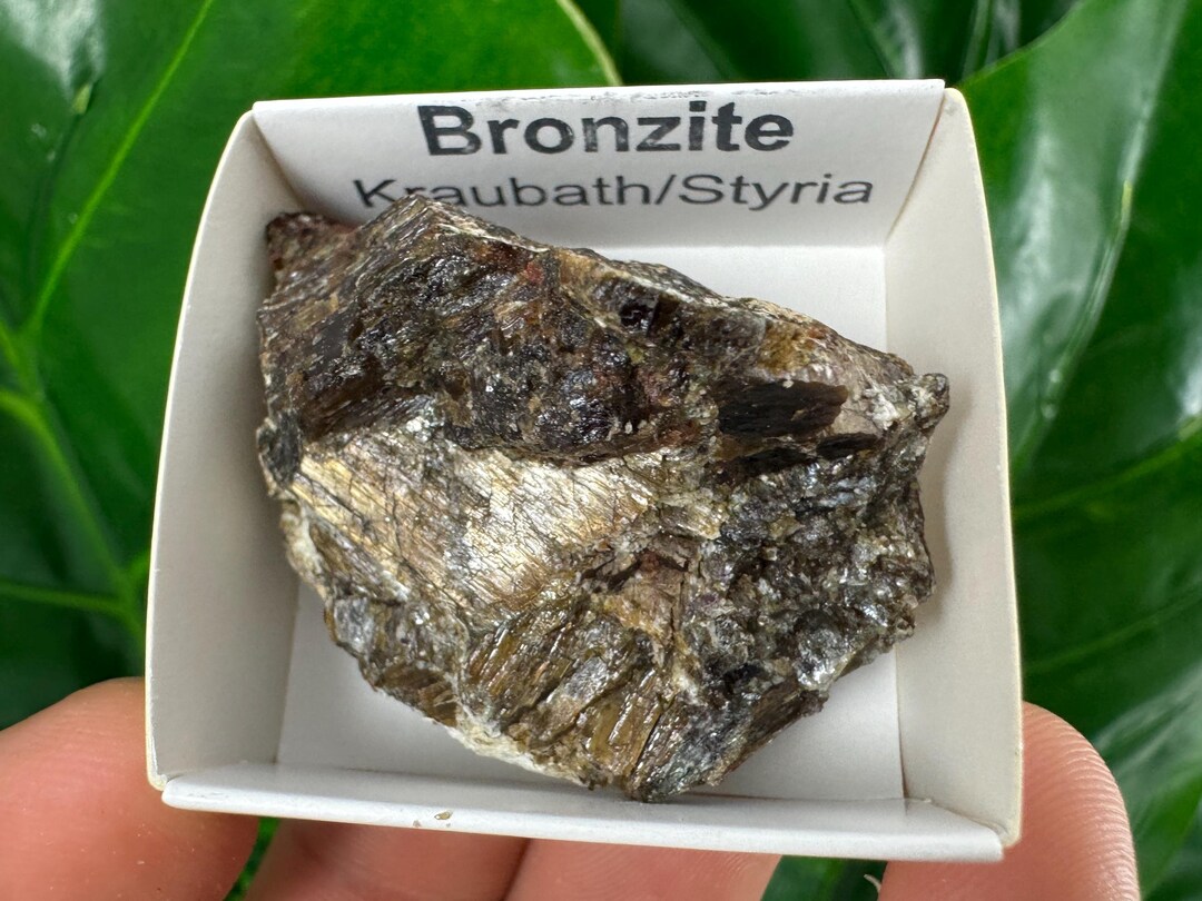 Very Nice Golden Bronzite From Austria,kraubath,styria,mineral,specimen ...