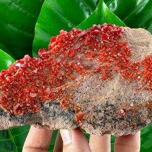Large Double Sided Vanadinite From Morocco,crystal, Mineral,specimen ...