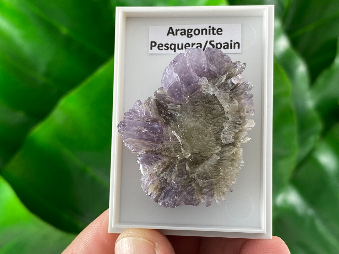 Amazing Aragonite Flower From Spain,aragonite Crystal,cluster,natural ...
