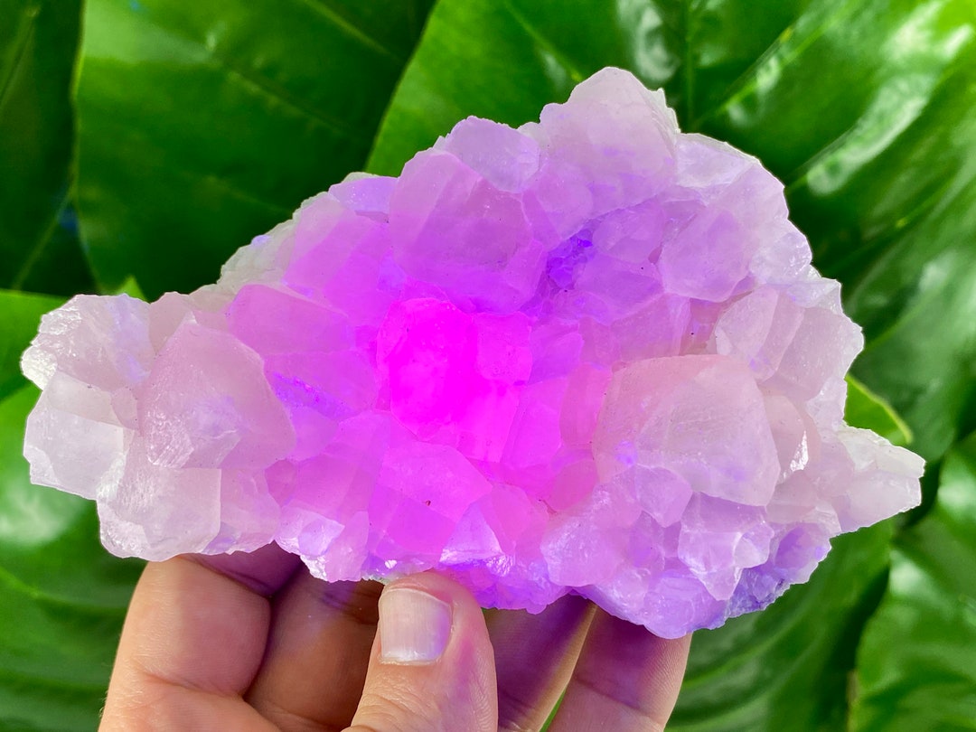 Strong Fluorescent Pink Mangano Calcite From Androvo Mine,zlatograd ...